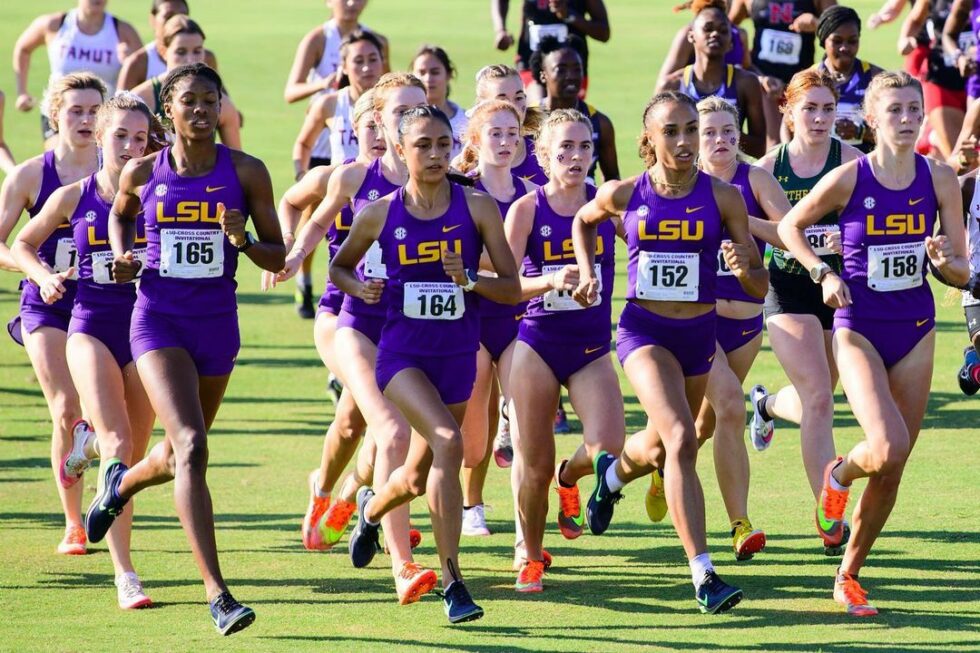 Interview de Cindy Bourdier et Alexandre Selles, deux étudiants ...